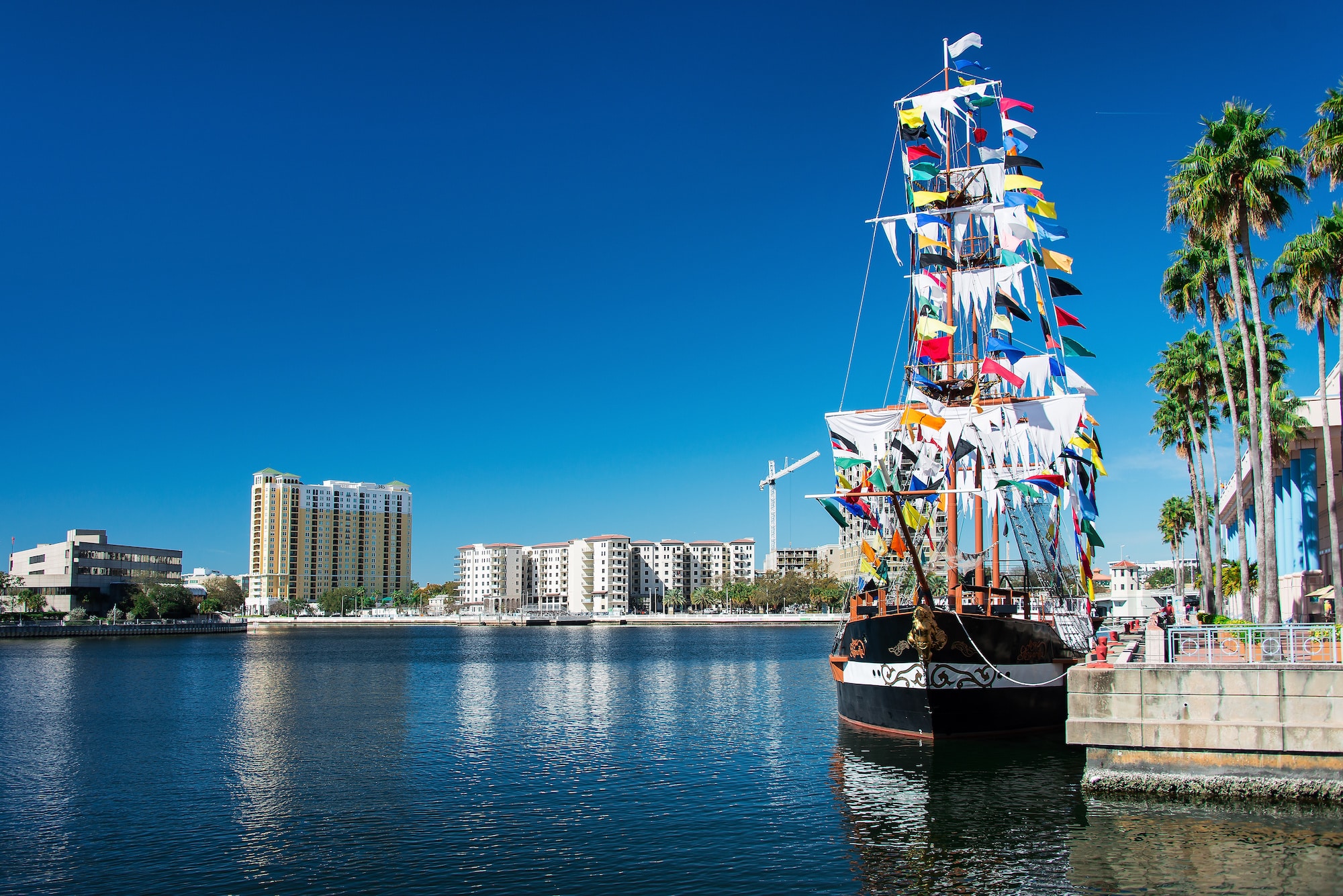 Discover Why Tampa Ranks Most Fun US City! | Fine Sells